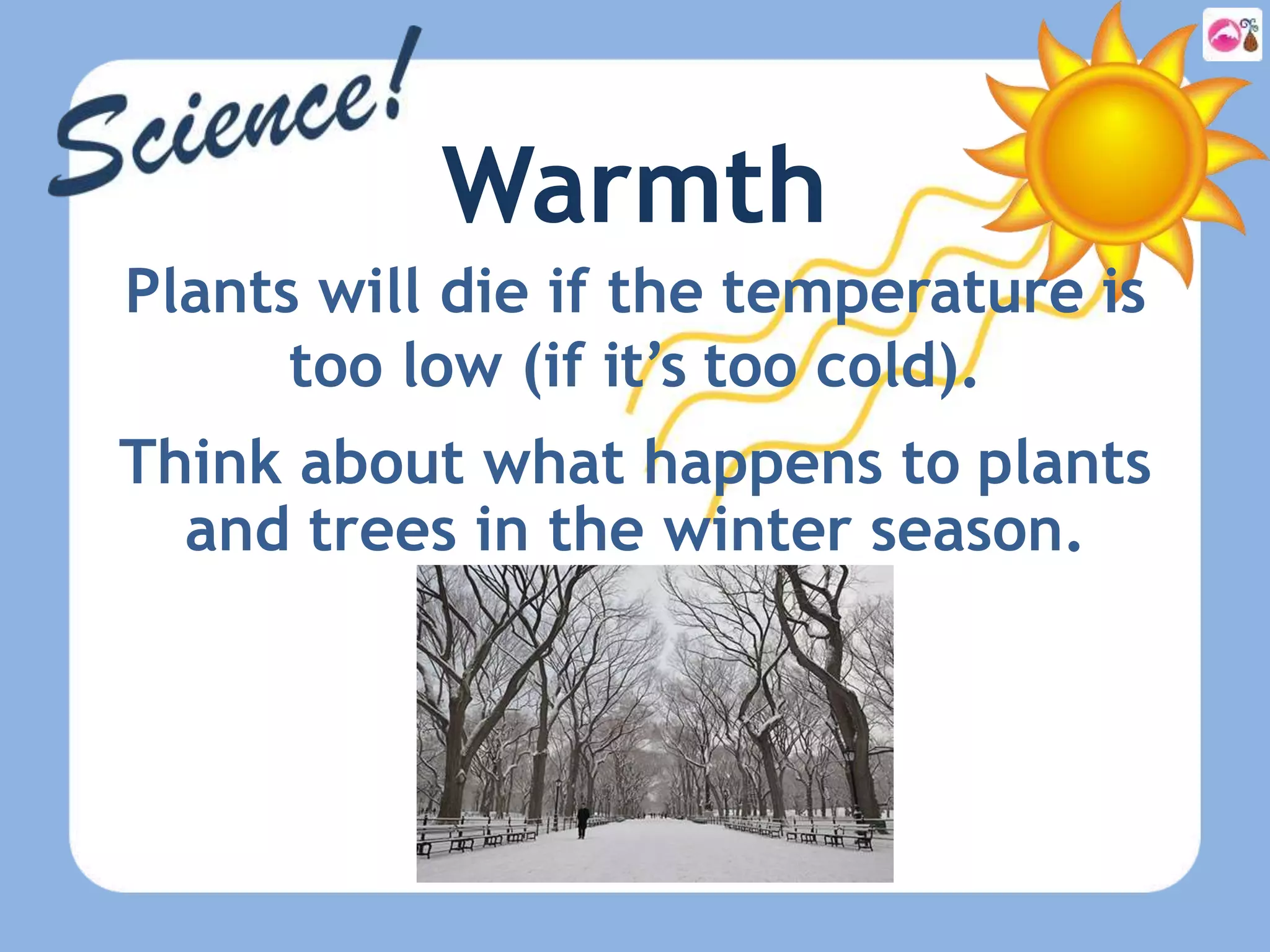 Science-What-do-plants-need-to-grow-PowerPoint.pptx | Gardening | Home ...