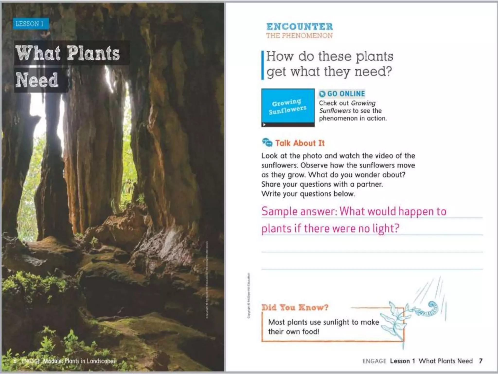 Science-What-do-plants-need-to-grow-PowerPoint.pptx