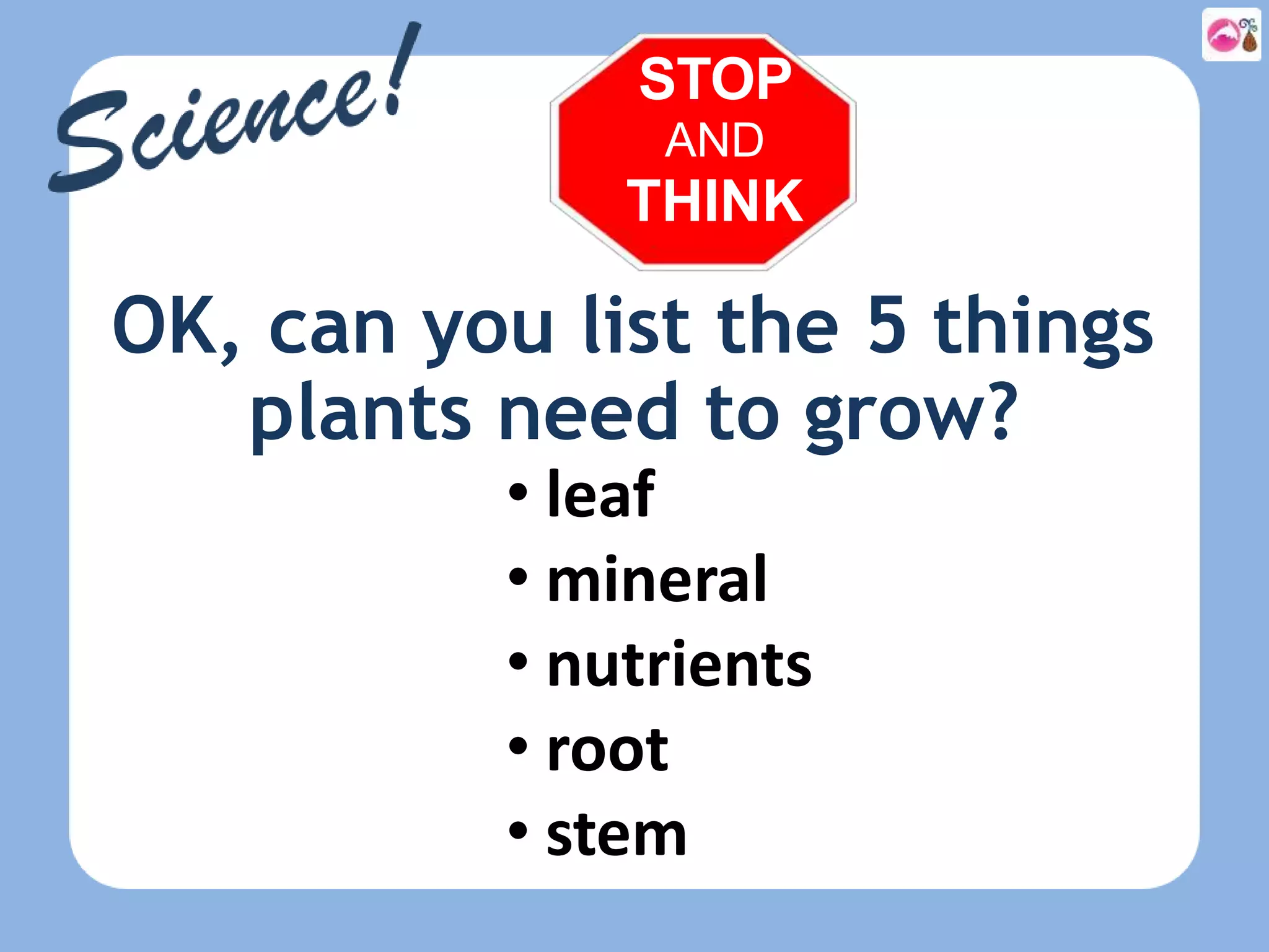Science-What-do-plants-need-to-grow-PowerPoint.pptx