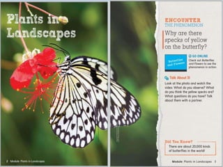 Science-What-do-plants-need-to-grow-PowerPoint.pptx