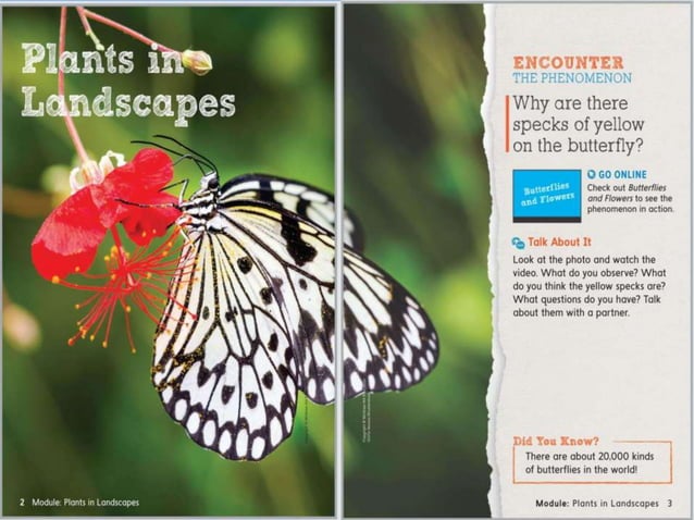 Science-What-do-plants-need-to-grow-PowerPoint.pptx | Gardening | Home ...