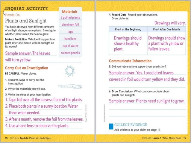 Science-What-do-plants-need-to-grow-PowerPoint.pptx | Gardening | Home ...