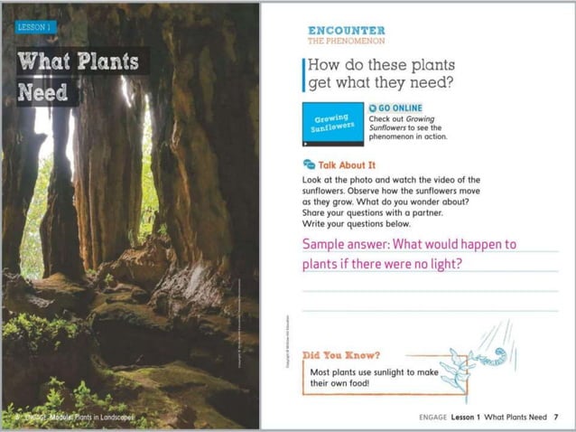 Science-What-do-plants-need-to-grow-PowerPoint.pptx | Gardening | Home ...