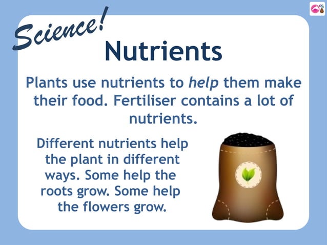 Science-What-do-plants-need-to-grow-PowerPoint.pptx