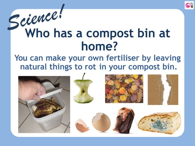 Science-What-do-plants-need-to-grow-PowerPoint.pptx