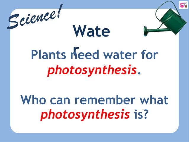 Science-What-do-plants-need-to-grow-PowerPoint.pptx