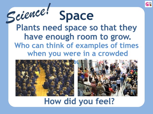 Science-What-do-plants-need-to-grow-PowerPoint.pptx