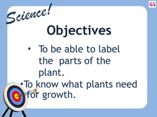Science-What-do-plants-need-to-grow-PowerPoint.pptx