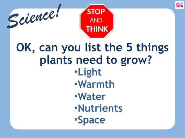Science-What-do-plants-need-to-grow-PowerPoint.pptx