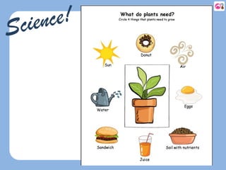 Science-What-do-plants-need-to-grow-PowerPoint.pptx