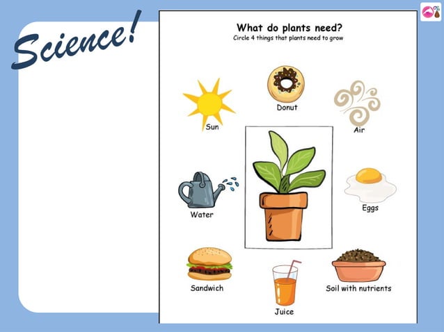 Science-What-do-plants-need-to-grow-PowerPoint.pptx