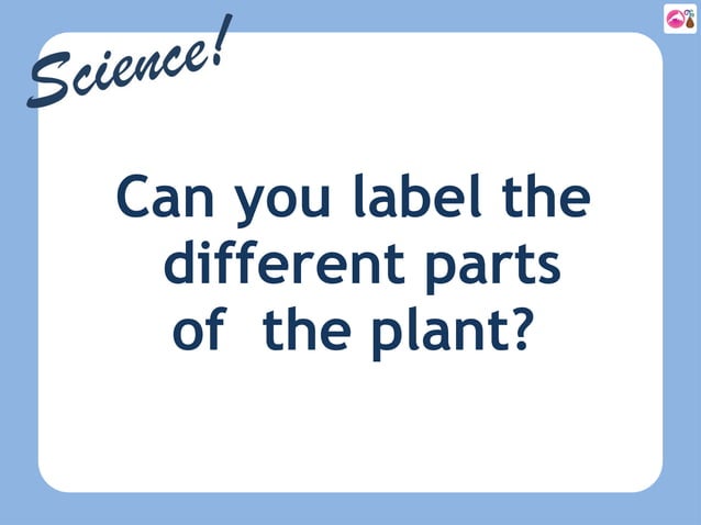 Science-What-do-plants-need-to-grow-PowerPoint.pptx