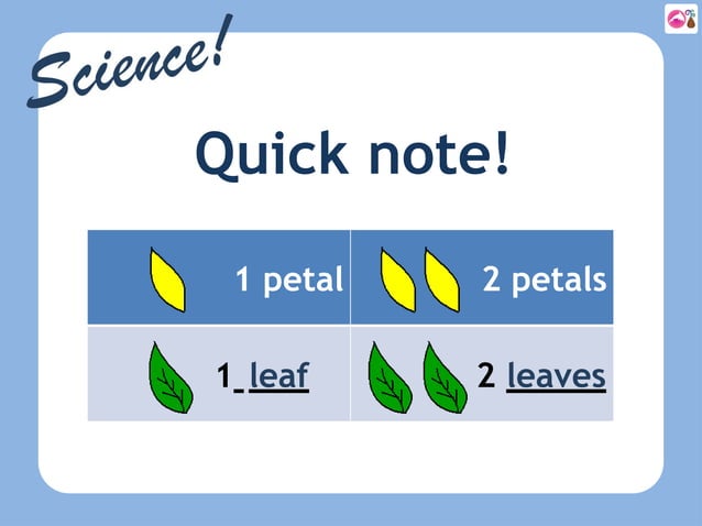 Science-What-do-plants-need-to-grow-PowerPoint.pptx