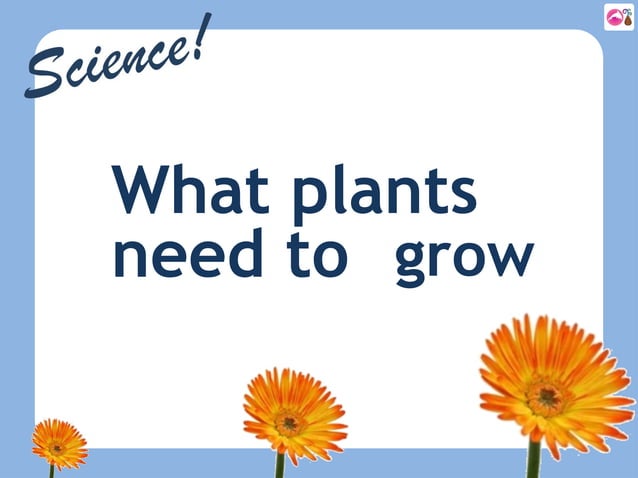 Science-What-do-plants-need-to-grow-PowerPoint.pptx