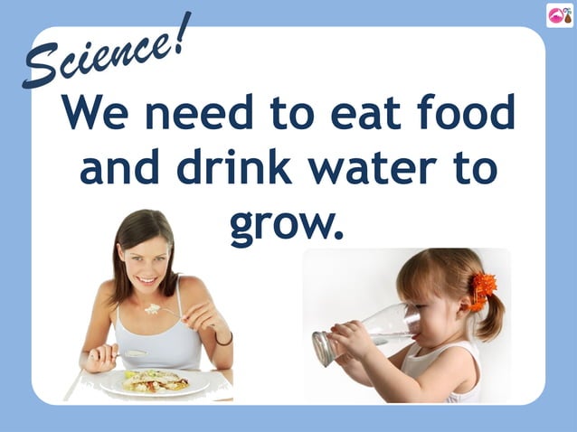 Science-What-do-plants-need-to-grow-PowerPoint.pptx