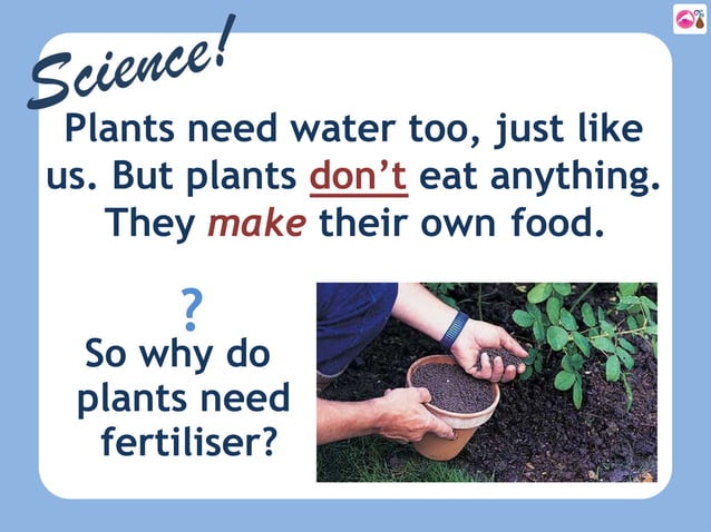 Science-What-do-plants-need-to-grow-PowerPoint.pptx