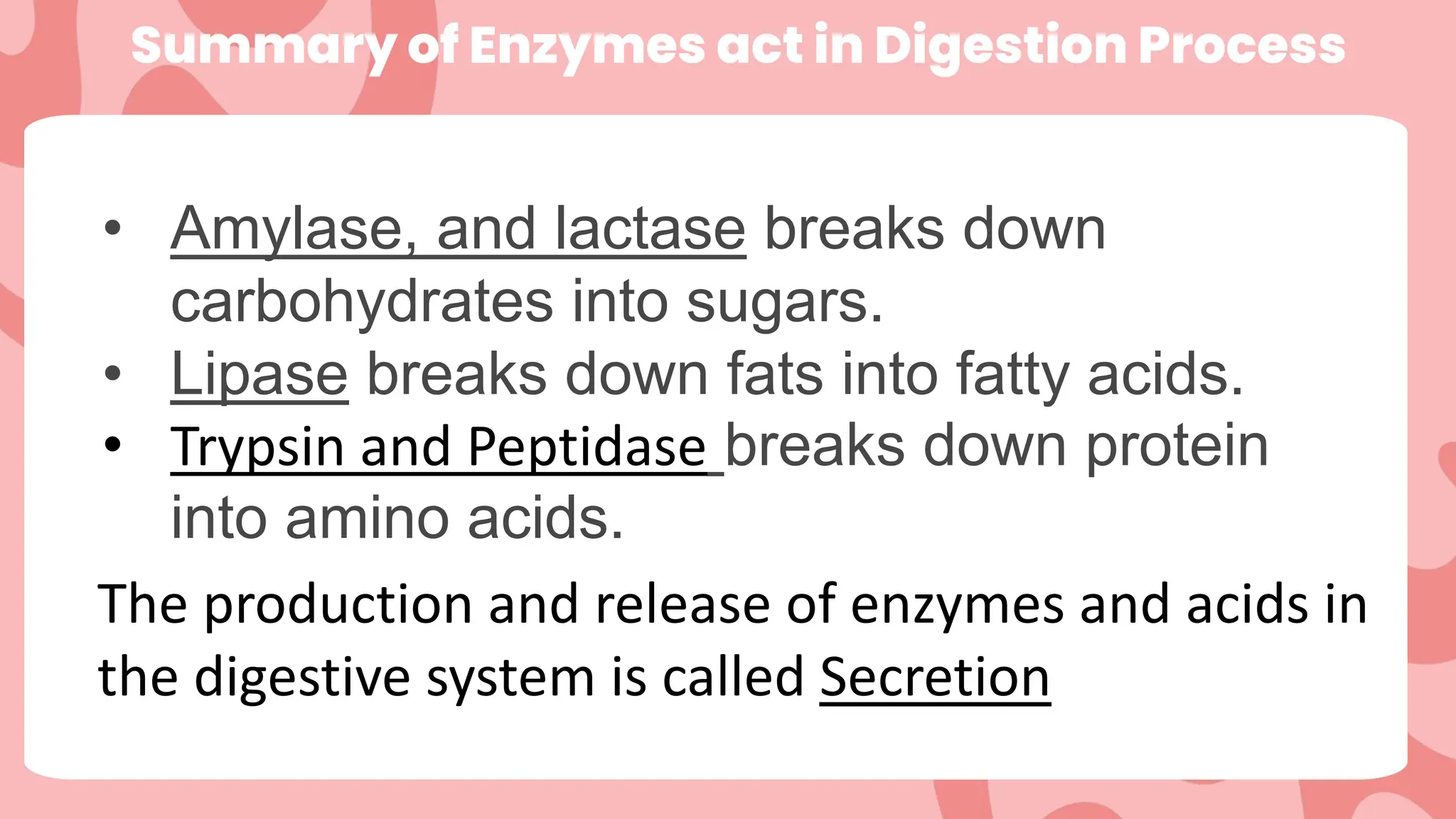 science 8 about the digestive system.pptx