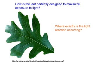 science_10_biology_3.2 | PPT