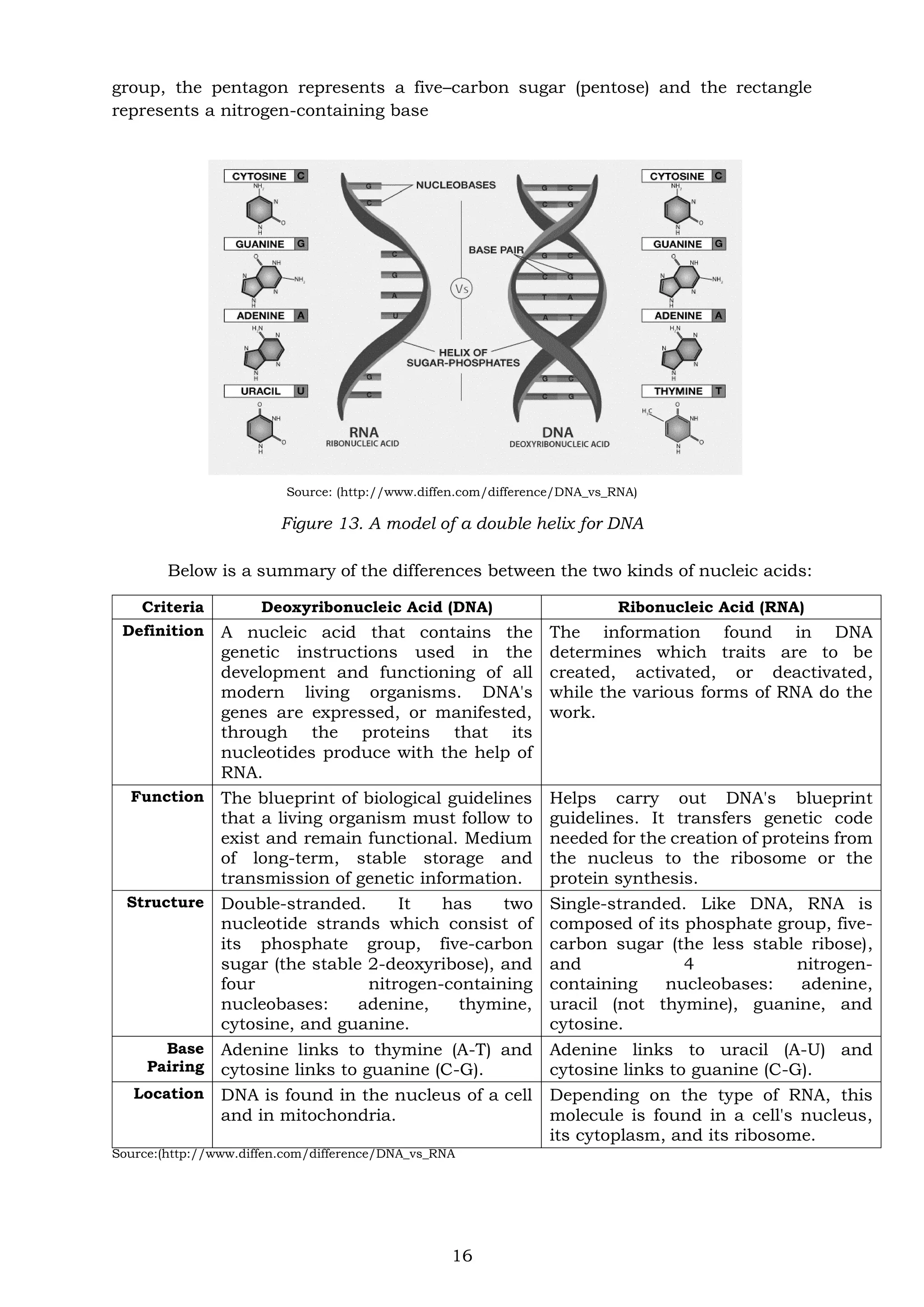 Science 10 _ Biomolecules.pdf