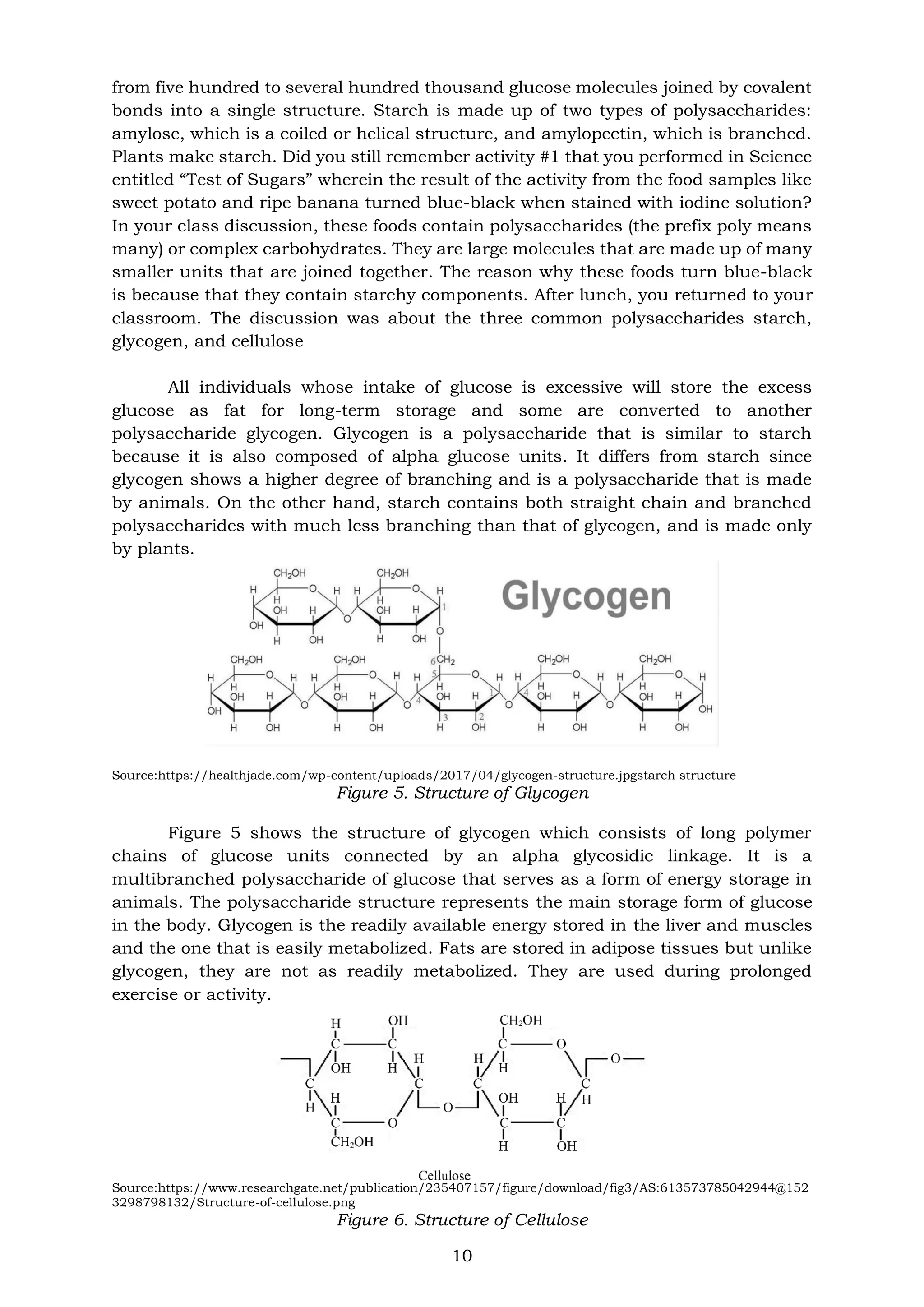 Science 10 _ Biomolecules.pdf