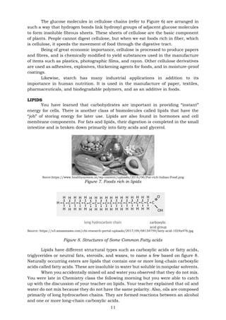 Science 10 _ Biomolecules.pdf