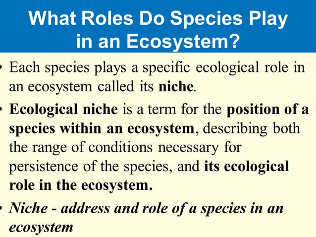 Science 10 Q3 lesson 4 evolution and biodiversity origins niches and ...