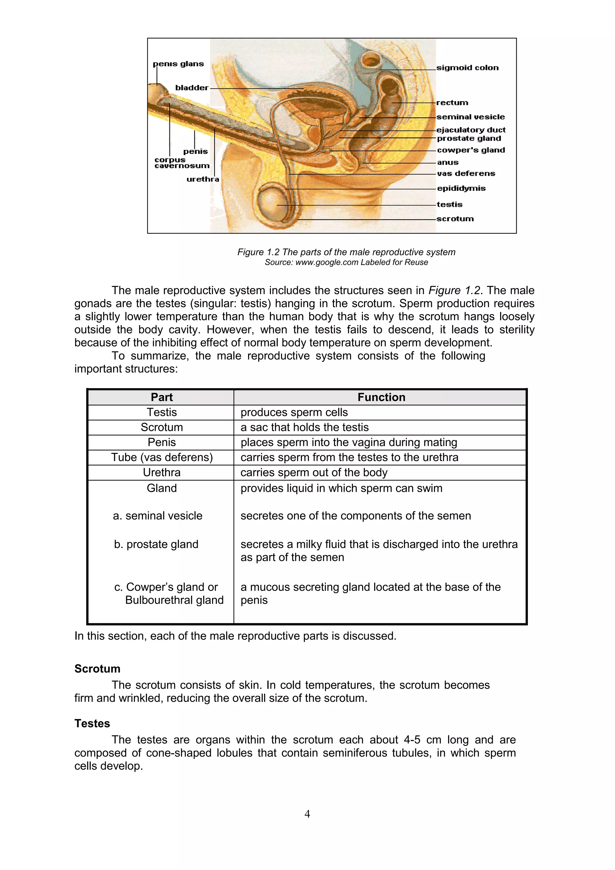 Science10 q3 mod1_v2 | PDF