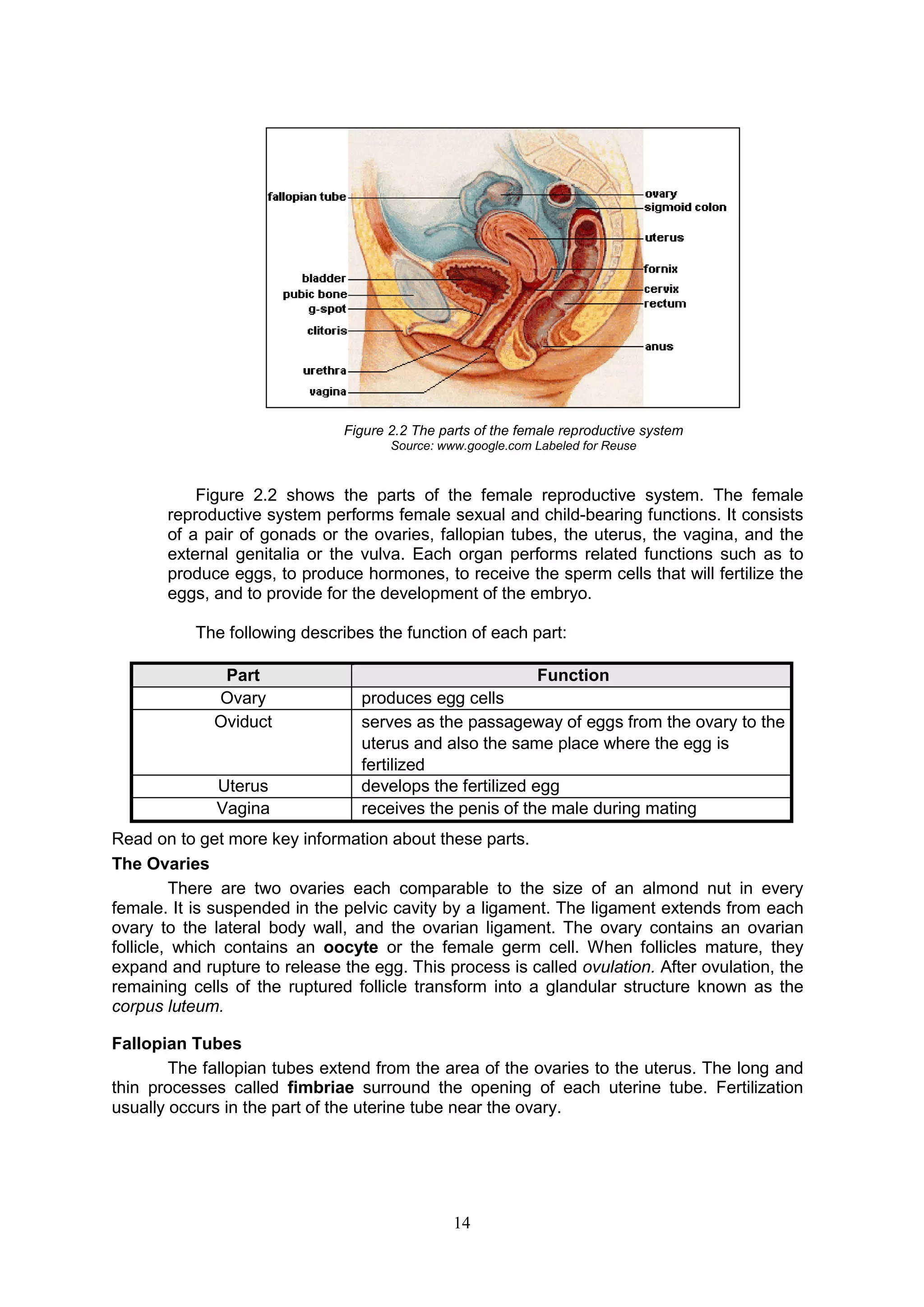 Science10 q3 mod1_v2 | PDF