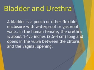 Science 10 Q3 The Female Reproductive System.ppt