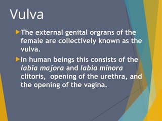 Science 10 Q3 The Female Reproductive System.ppt