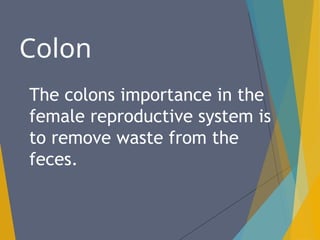 Science 10 Q3 The Female Reproductive System.ppt