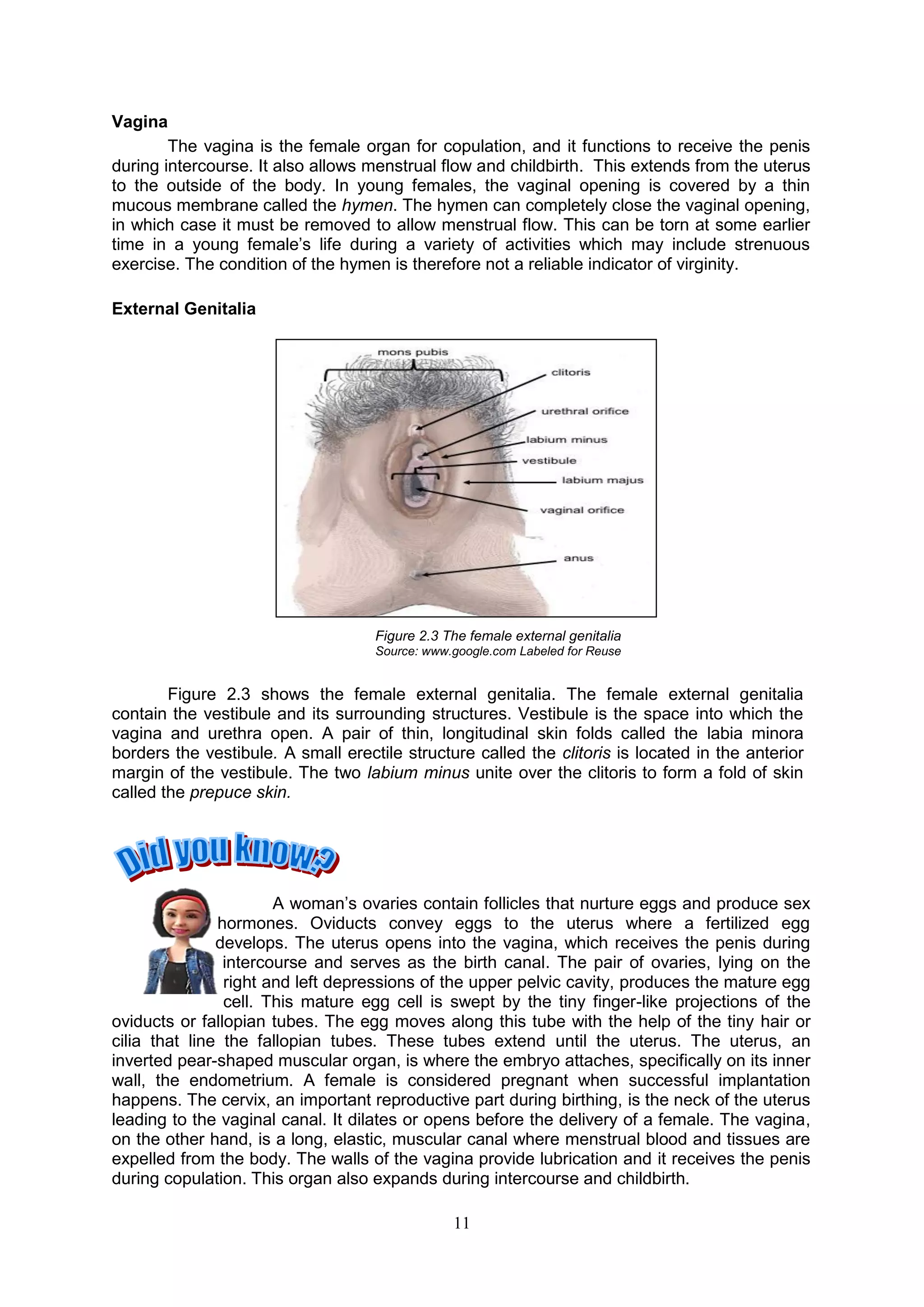 Science10 q3 ver4_mod1 | PDF