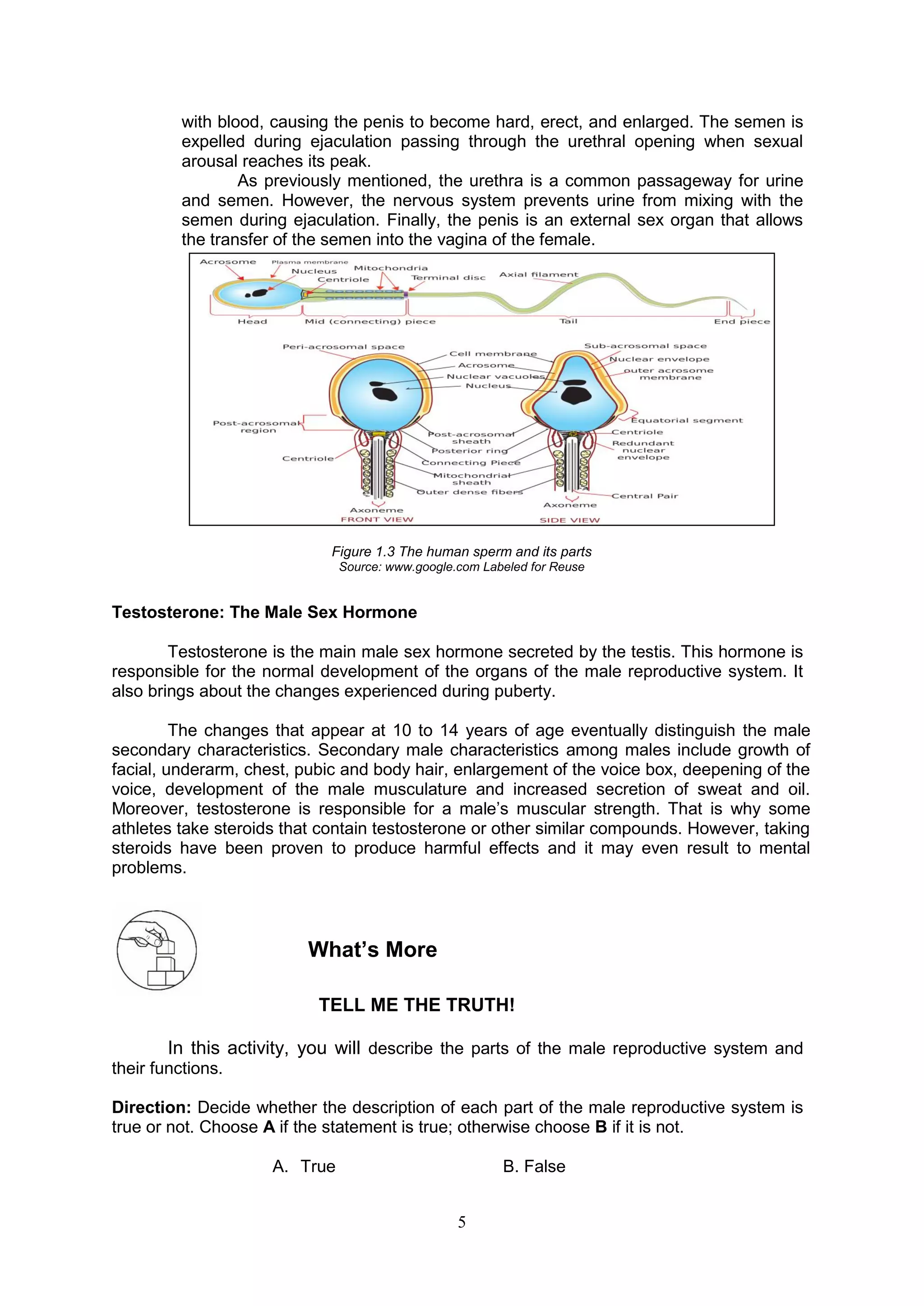 Science10 q3 ver4_mod1 | PDF