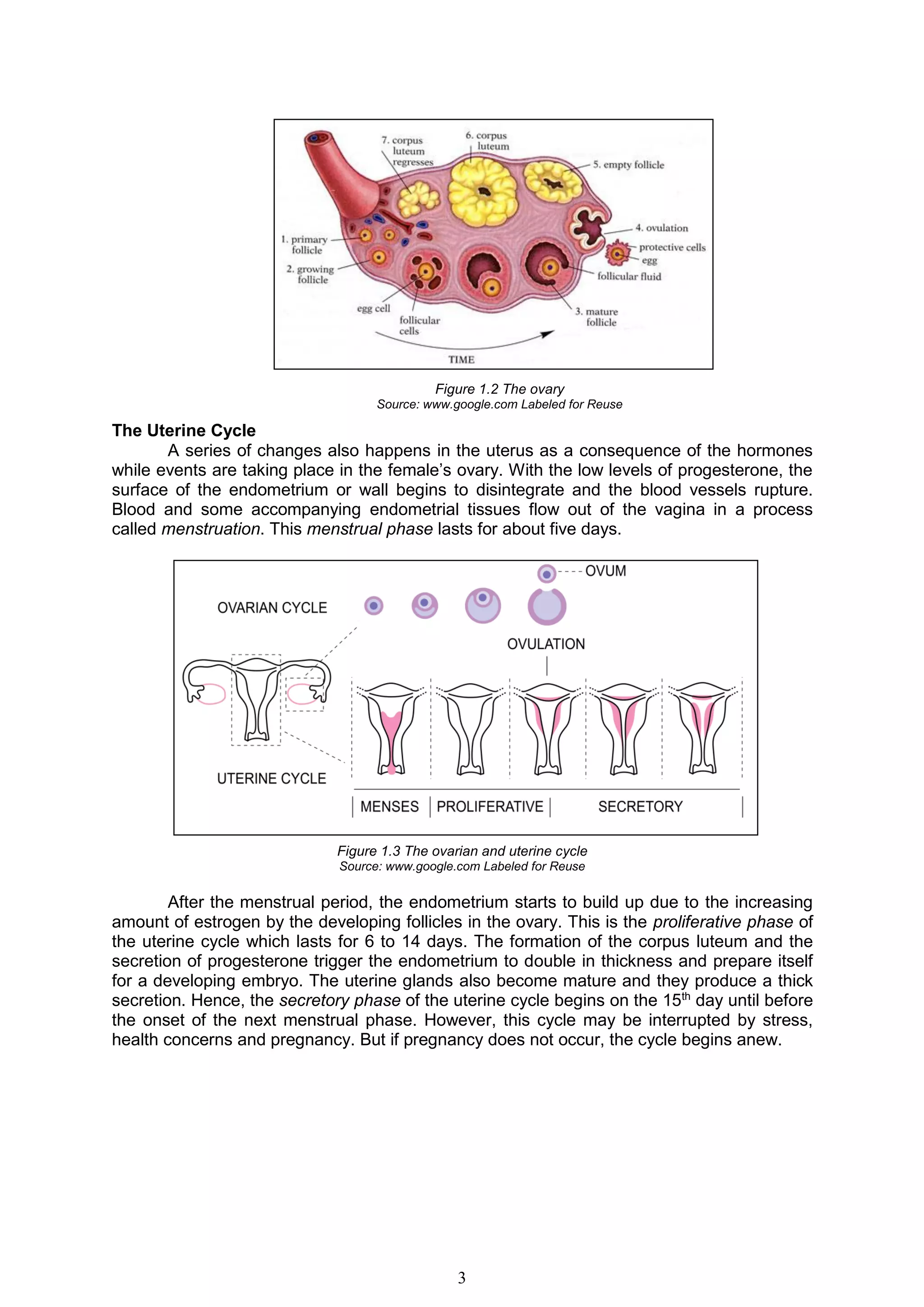Science10 q3 ver4_mod2 | PDF