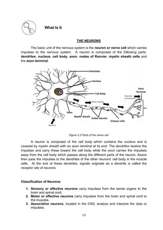 Science10_Q3_ver4_Mod3.pdf | Brain and Nervous System Disorders ...
