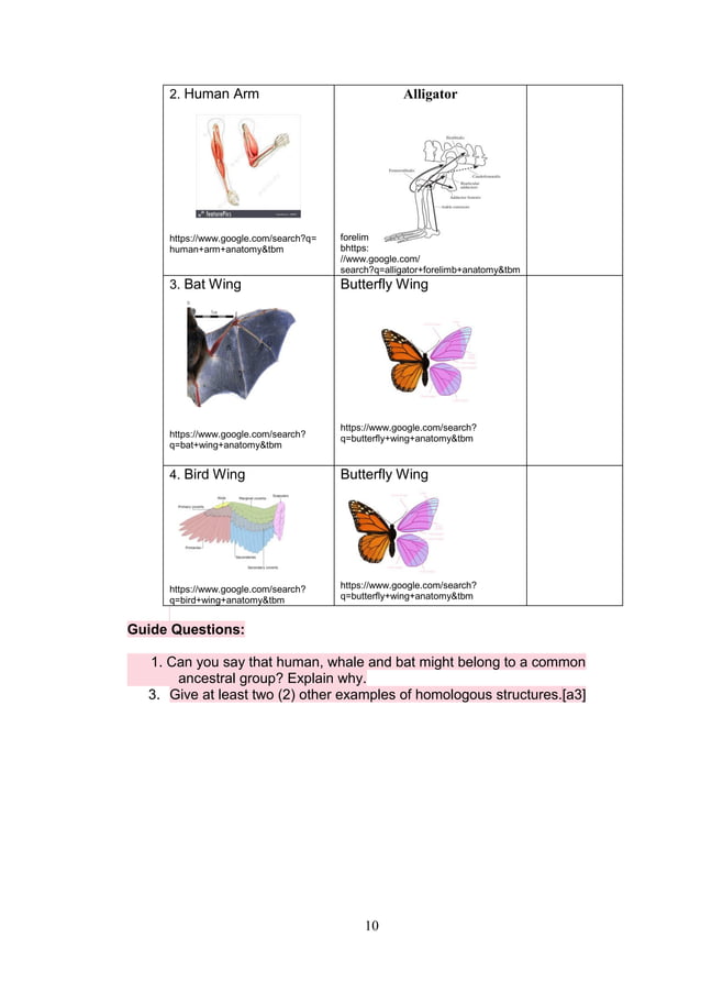 Science10 Q3 Ver4 Mod6 Pdf