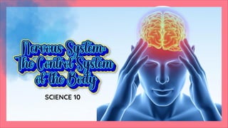 SCIENCE 10 QUARTER 3 Lesson 3 Nervous System.pdf