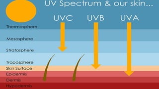 SCIENCE_10_REPORT_Ultraviolet_rays..pptx
