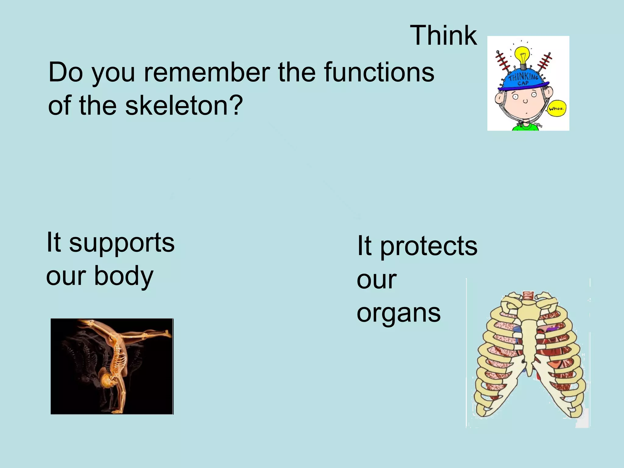 YEAR 2 Science. u1.the human body | PPT