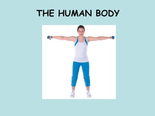 YEAR 2 Science. u1.the human body | PPT