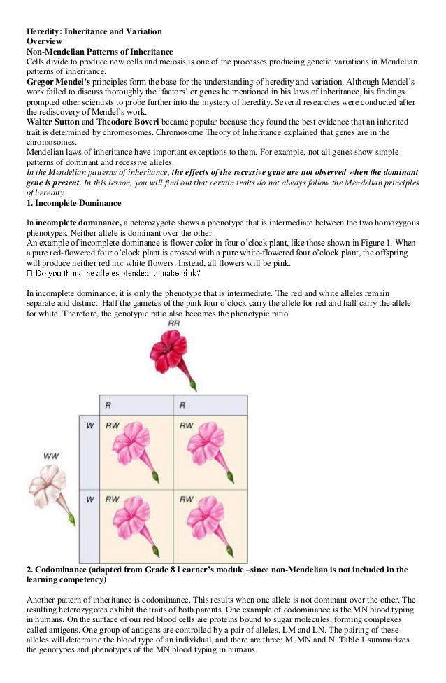 Science (2. Inheritance and Variation)
