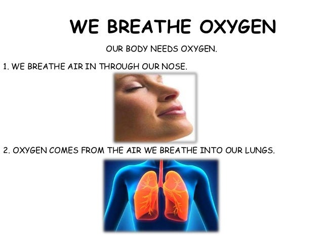 Science2. u1.the human body