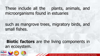 SCIENCE lesson quarter 2-- 2nd COT observation.pptx