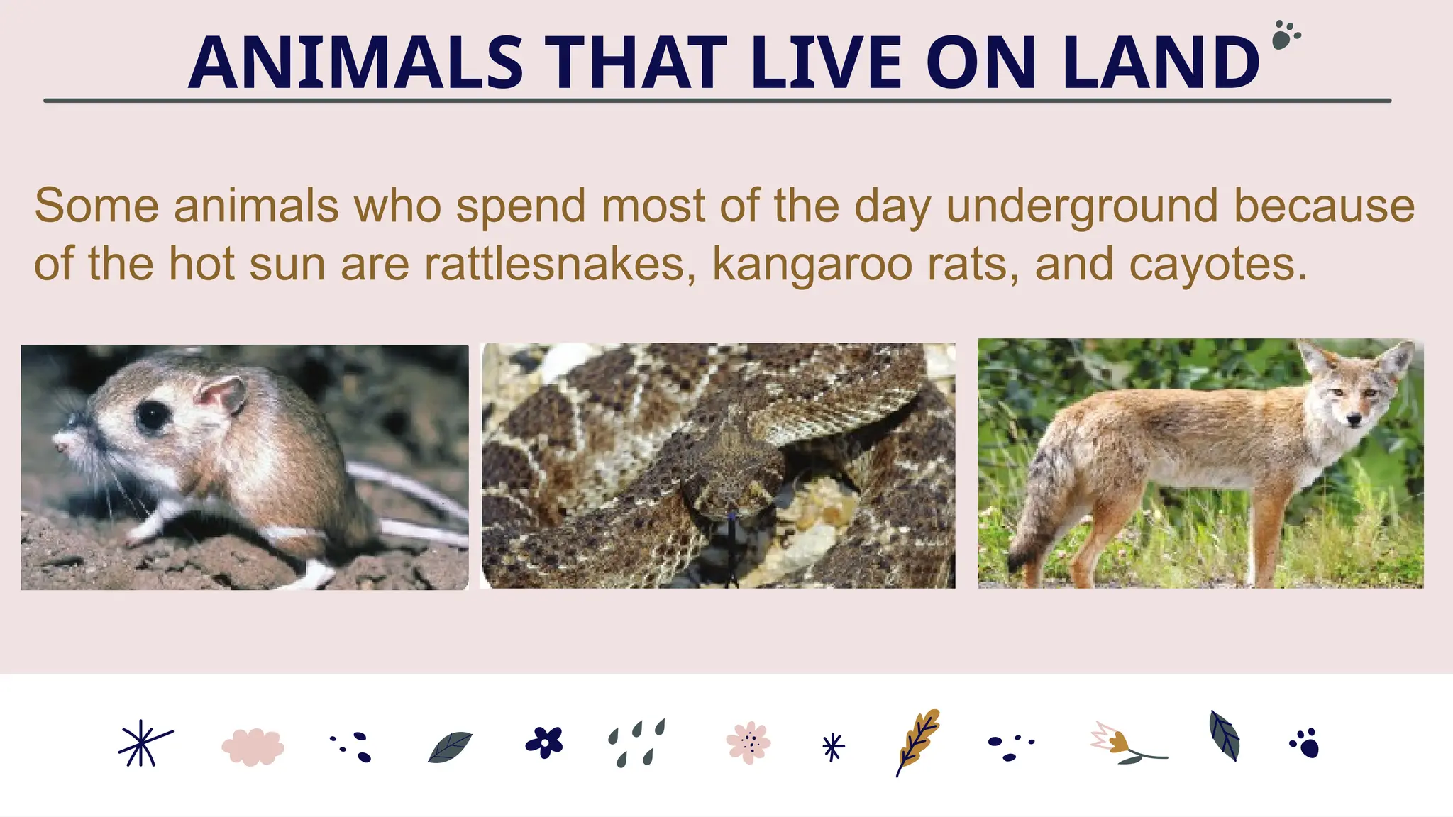 Science 2ndQ Lesson 1 - Body Parts that Helps Animals and Animal ...