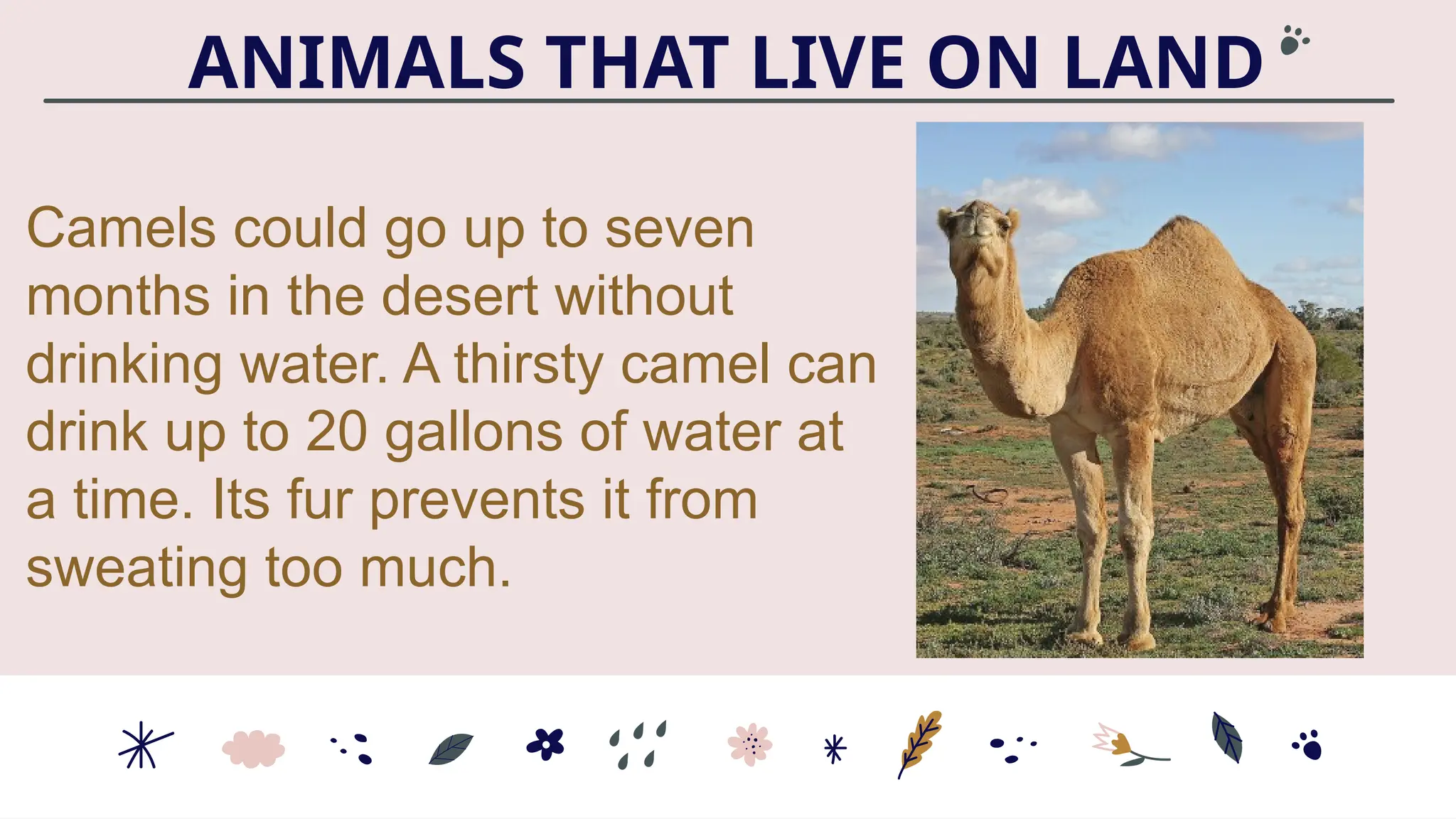 Science 2ndQ Lesson 1 - Body Parts that Helps Animals and Animal ...