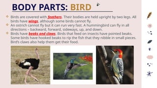 Science 2ndQ Lesson 1 - Body Parts that Helps Animals and Animal ...