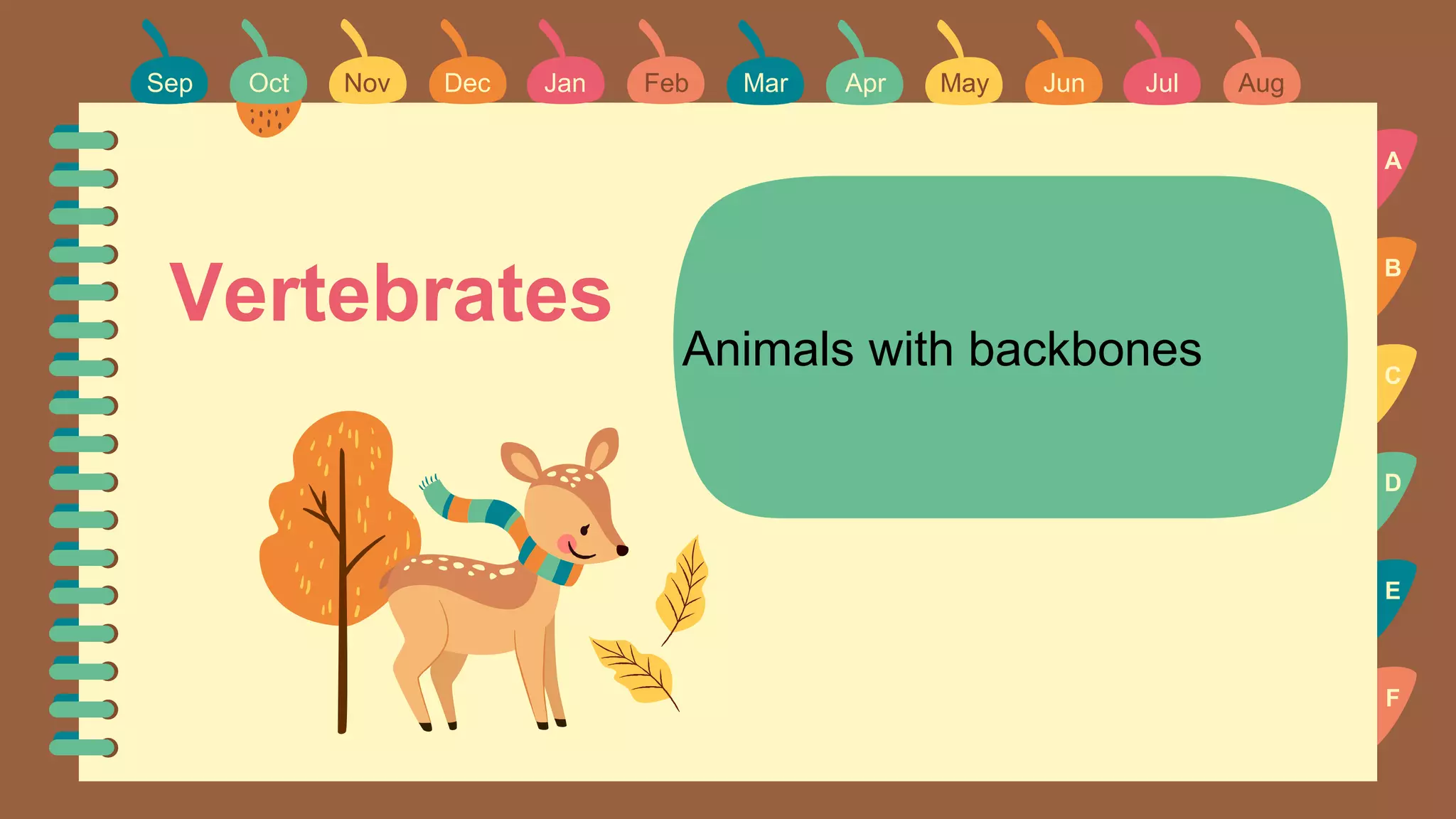 Vertebrates and Invertebrates | PPT
