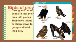 Vertebrates and Invertebrates | PPTX