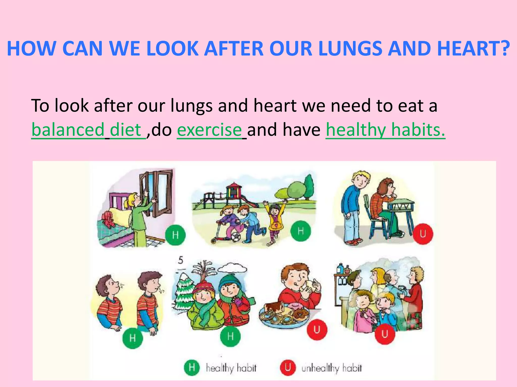Science 2 (unit 2) | PPSX | Diseases and Conditions | Medical Health