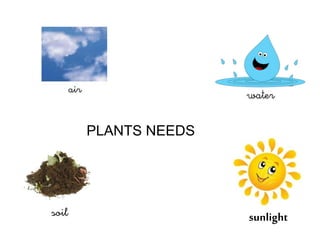 Science 2 (unit 3) | PPT